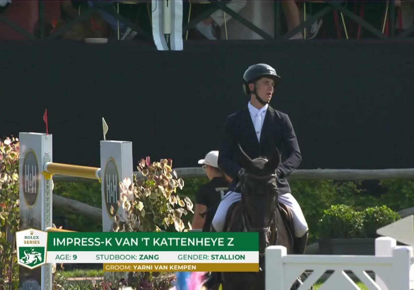 Thibeau Spits with Impress-k Van 'T Kattenheye Z - Brussels Stephex ...