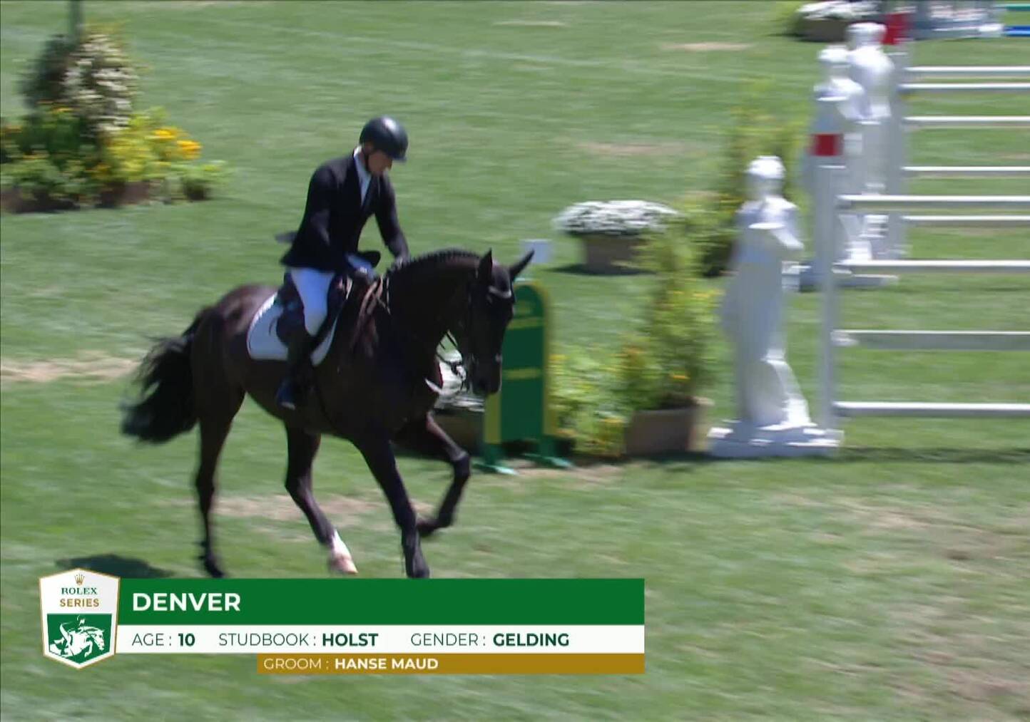 Michael Greeve with Denver - CSIO 5* Rome 2025 - Round 1 - Video