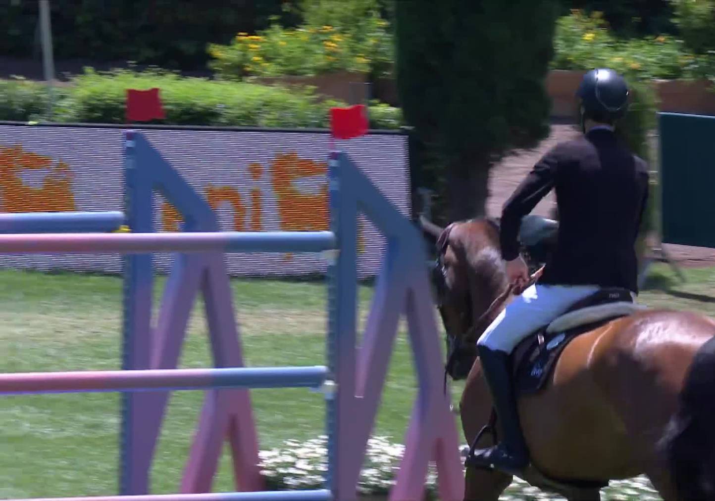 Pieter Devos with Casual Dv Z - CSIO Rome - Piazza di Siena 2024 - Round 1 - Video